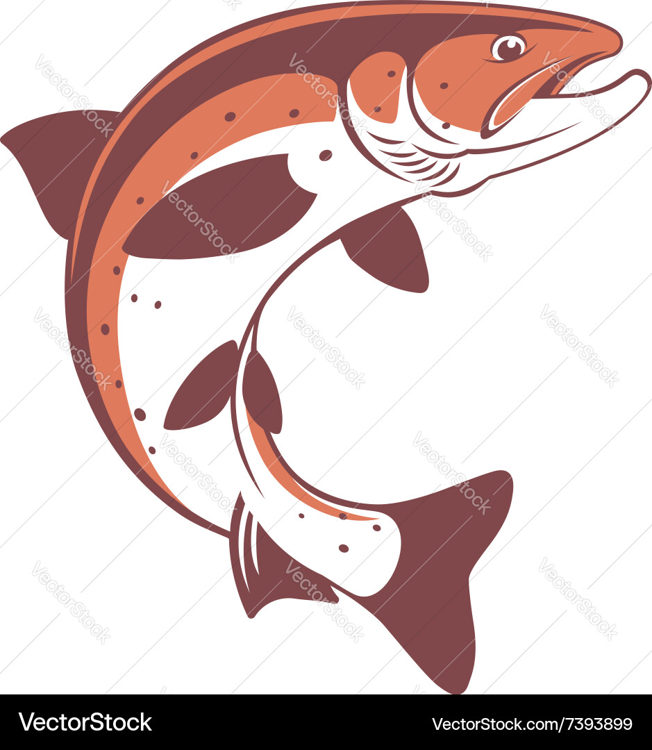 Trout Royalty Free Vector Image - VectorStock