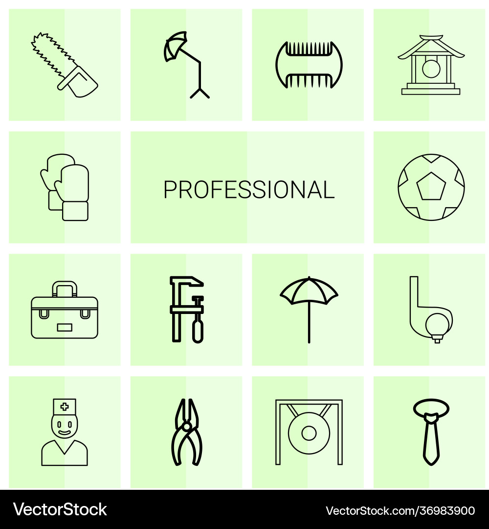 14 professional icons Royalty Free Vector Image