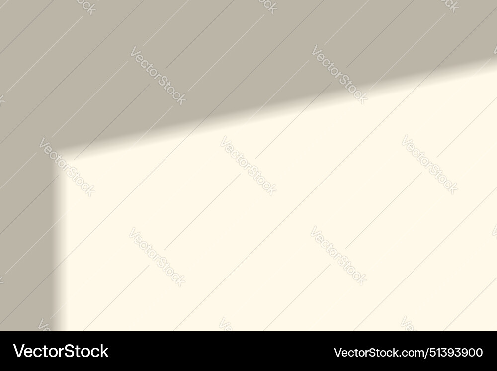 Shadow overlay effect soft realistic Royalty Free Vector