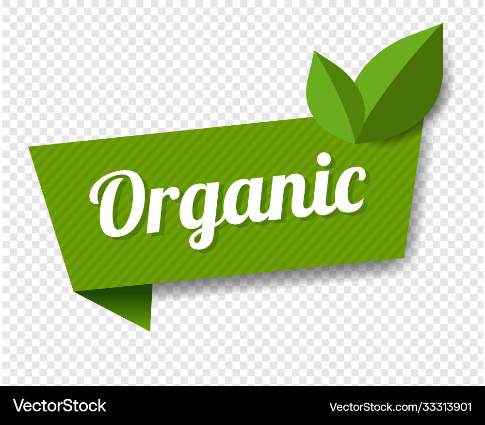 Organic label with leaves transparent background Vector Image