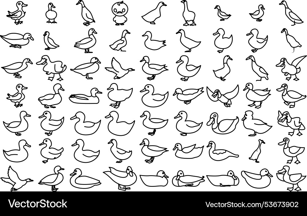 Duck goose Royalty Free Vector Image - VectorStock
