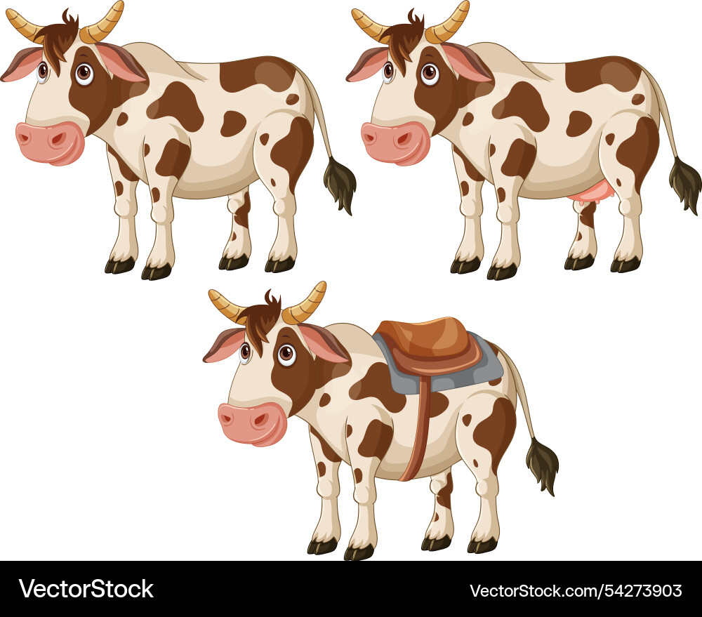 Three cartoon cows one with a saddle Royalty Free Vector