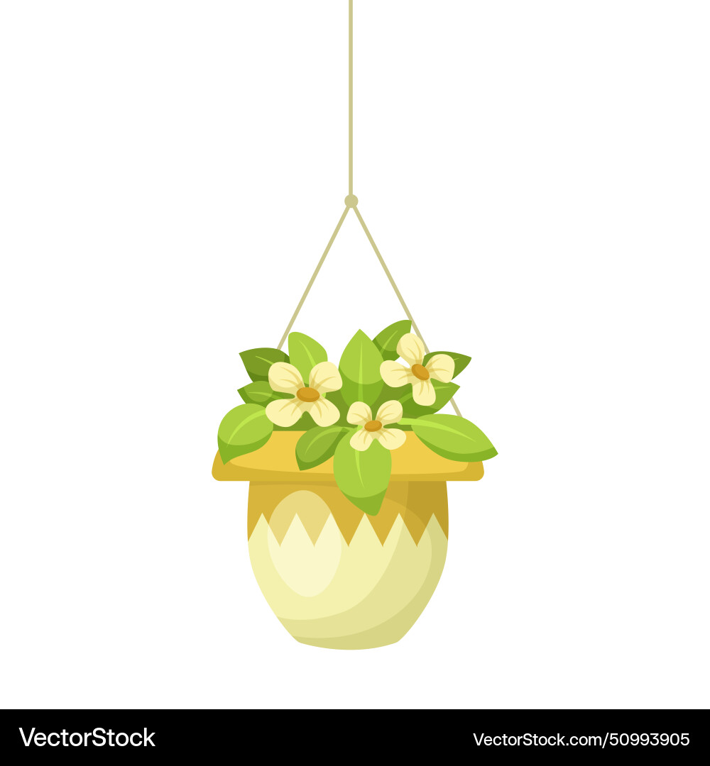A of hanging flower pot Royalty Free Vector Image