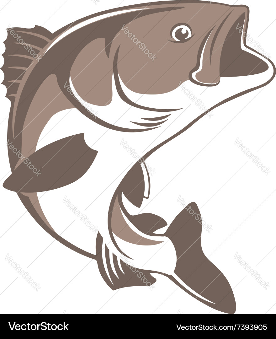 Fish perch Royalty Free Vector Image - VectorStock