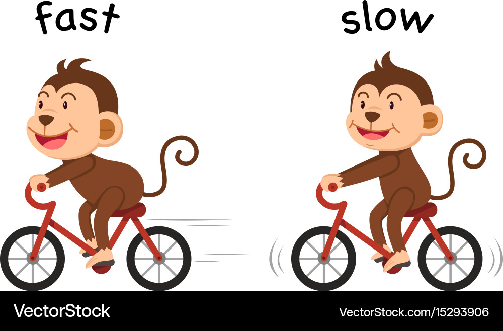 Opposite words fast and slow Royalty Free Vector Image