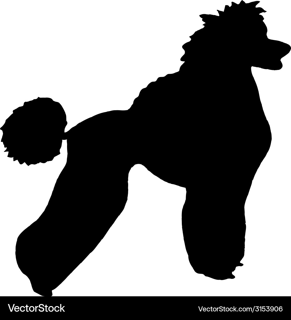 Poodle Royalty Free Vector Image - VectorStock