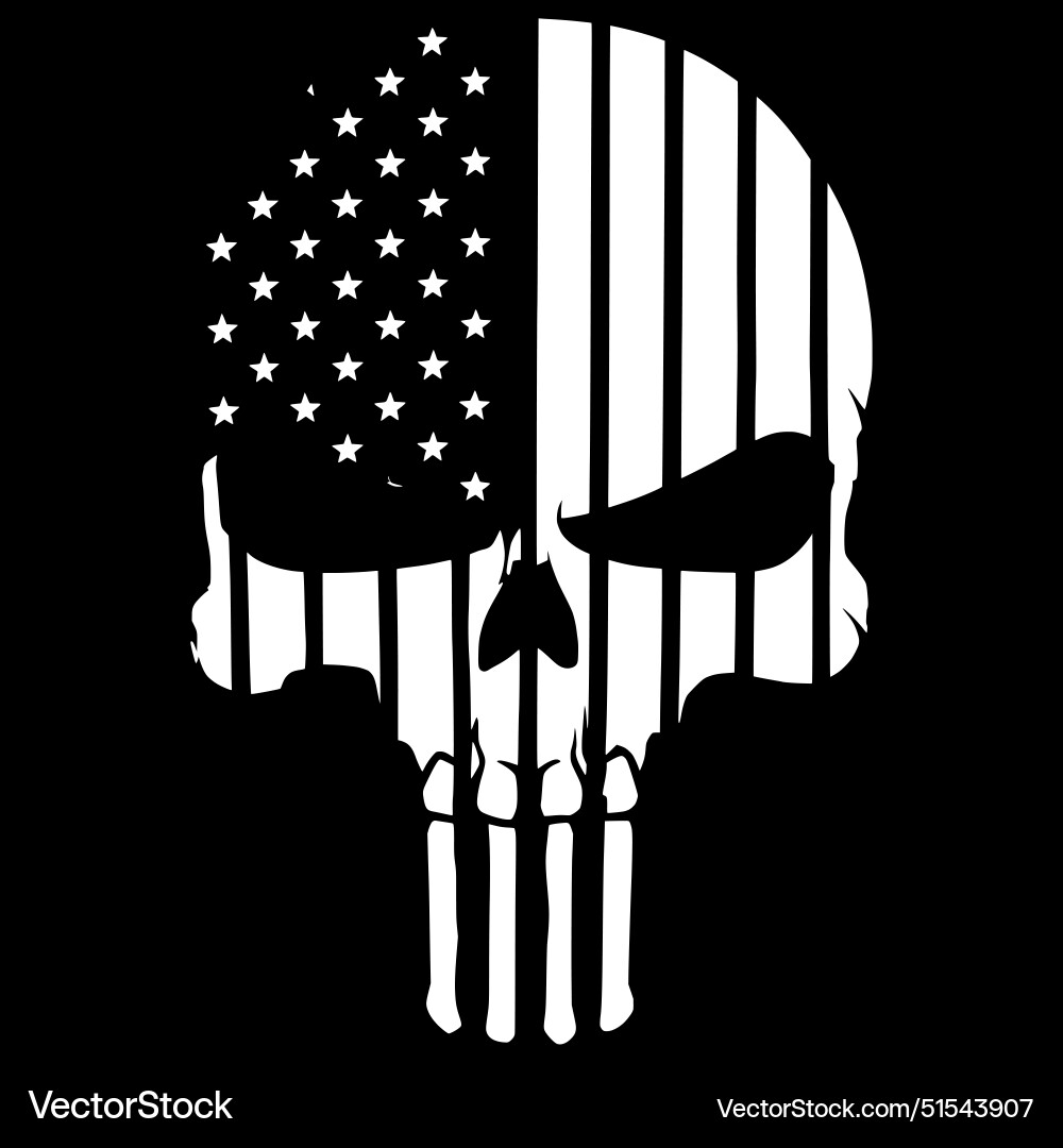 American flag skull graphic design Royalty Free Vector Image