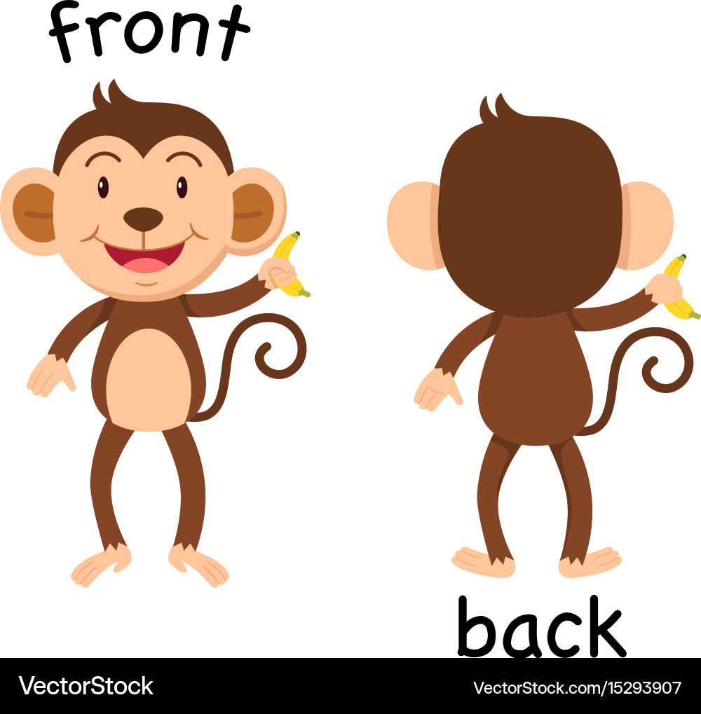 Opposites Front Back Vector Images (51)