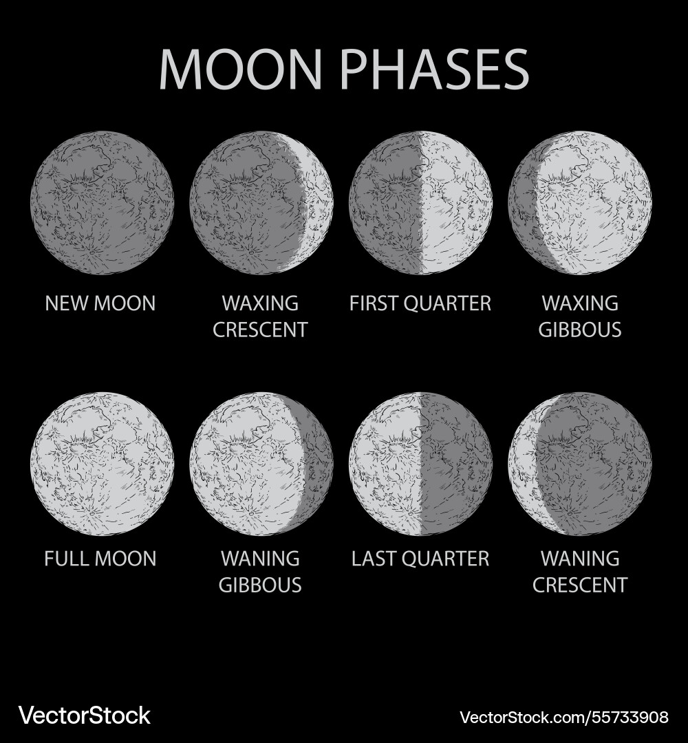 Mond in acht verschiedenen Phasen Lizenzfreies Vektorbild