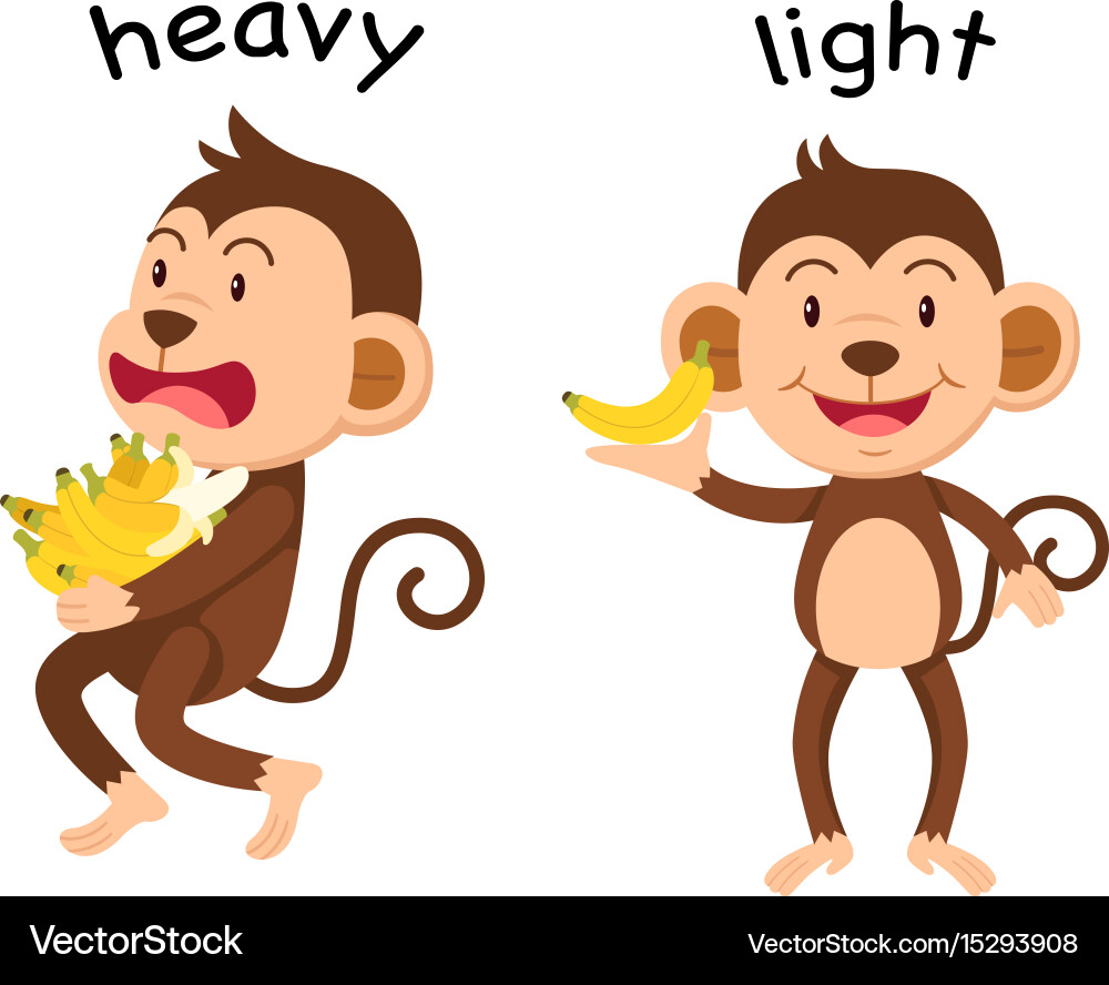 Opposite words heavy and light Royalty Free Vector Image