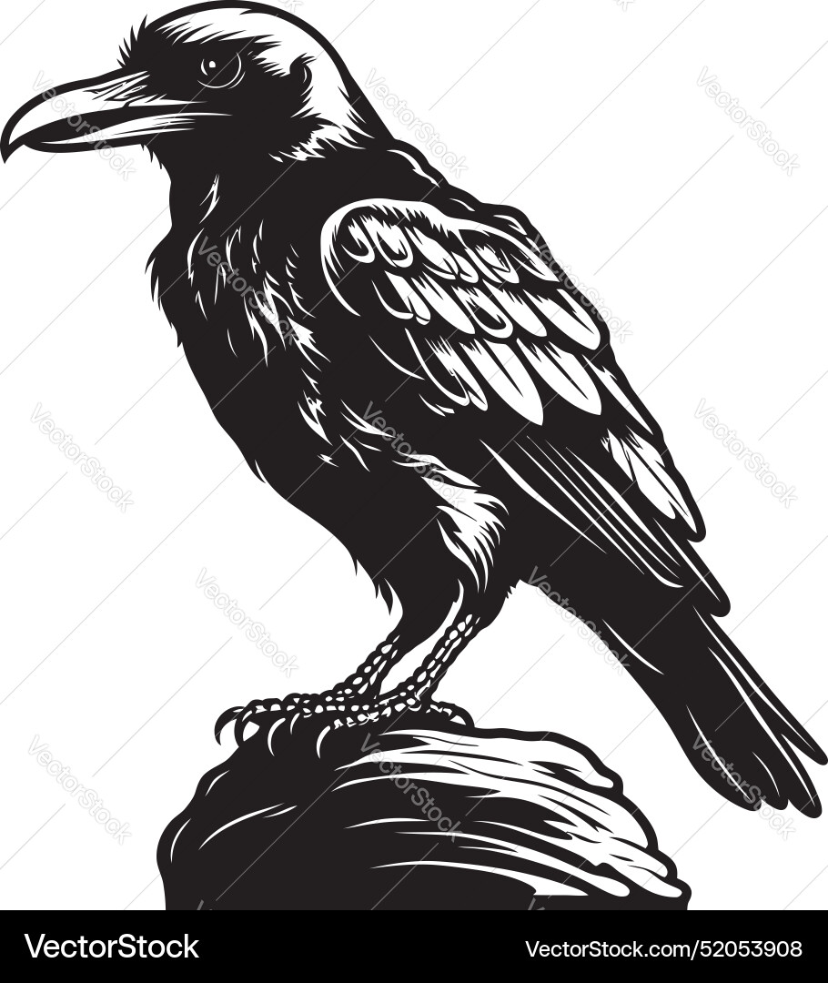 Shadow sentinel skull and raven design Royalty Free Vector