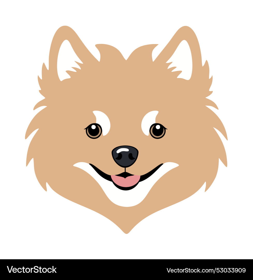 Cute spitz dog isolated Royalty Free Vector Image