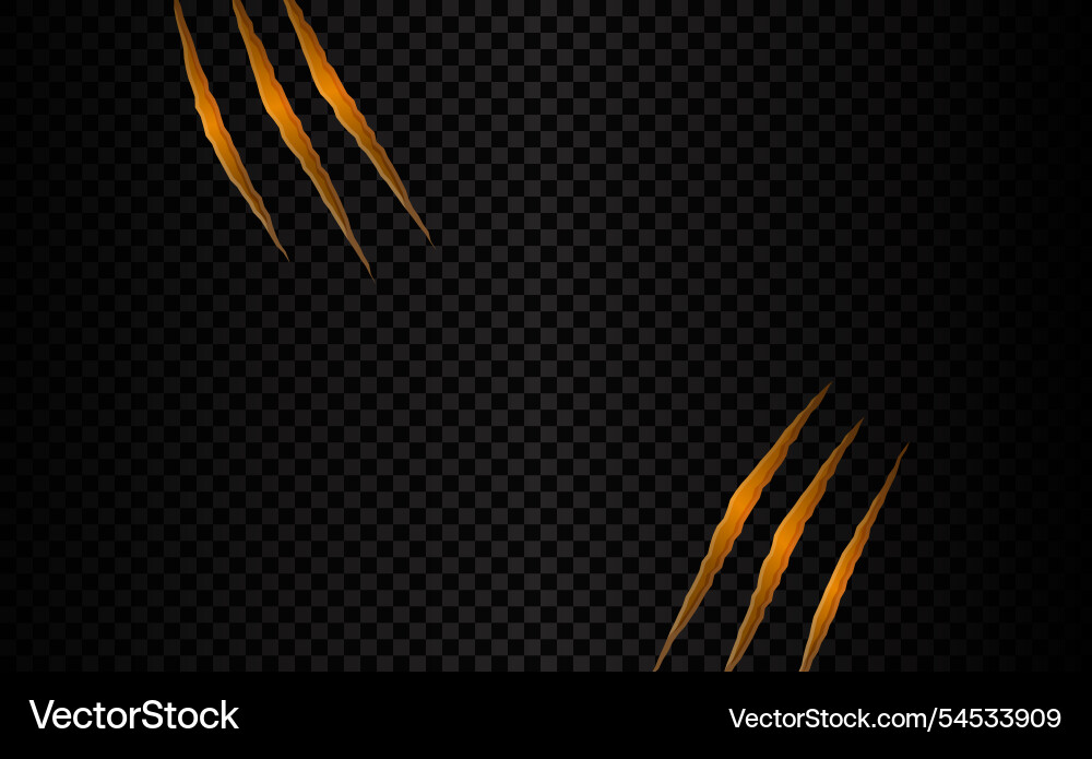 Orange claw scratches on a transparent background Vector Image