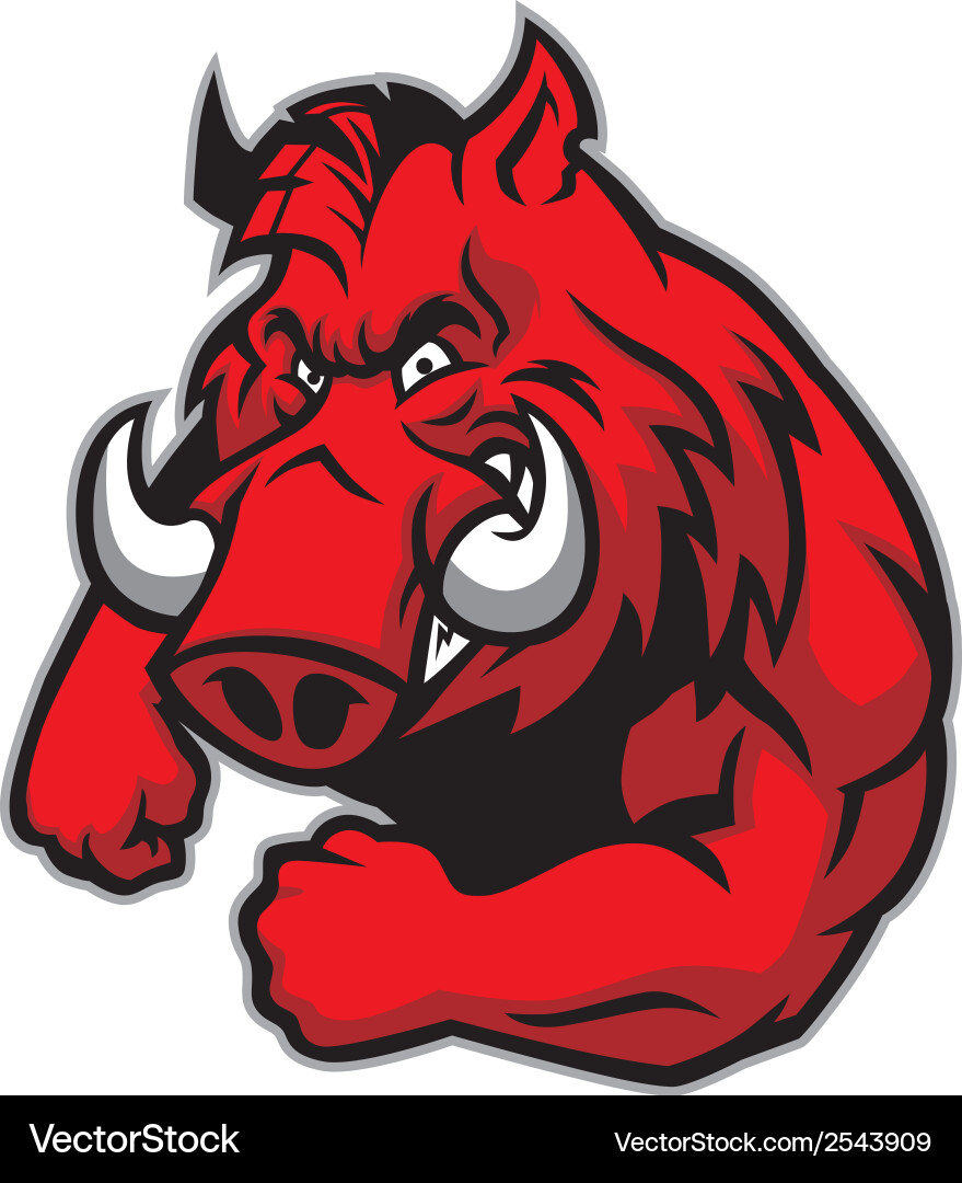Razorback mascot Royalty Free Vector Image - VectorStock