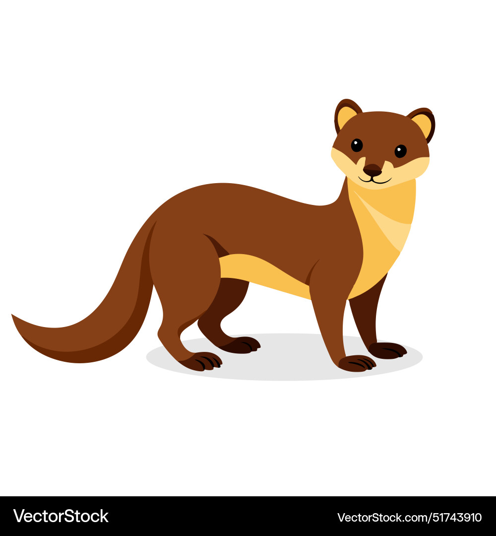 Marten animal flat on white background Royalty Free Vector
