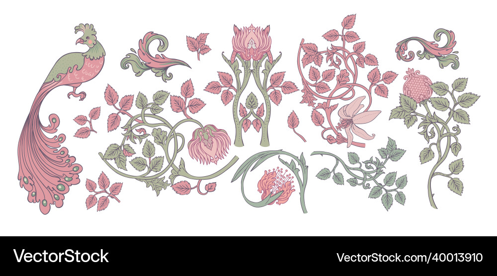 Nature vintage elements enchanted flowers Vector Image