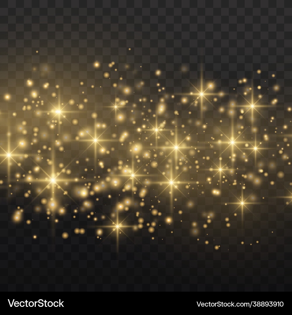 Yellow dust particles golden sparks lights star Vector Image