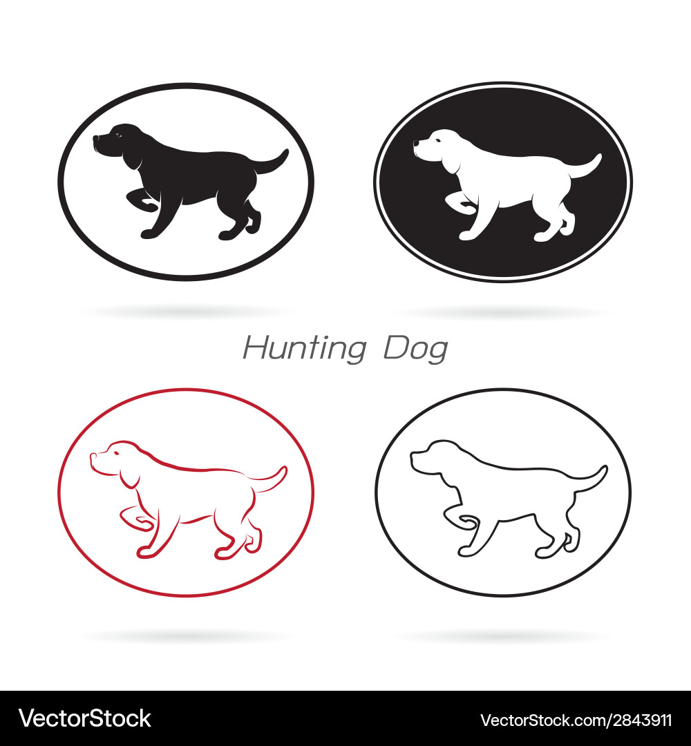 Dog hunting Royalty Free Vector Image - VectorStock