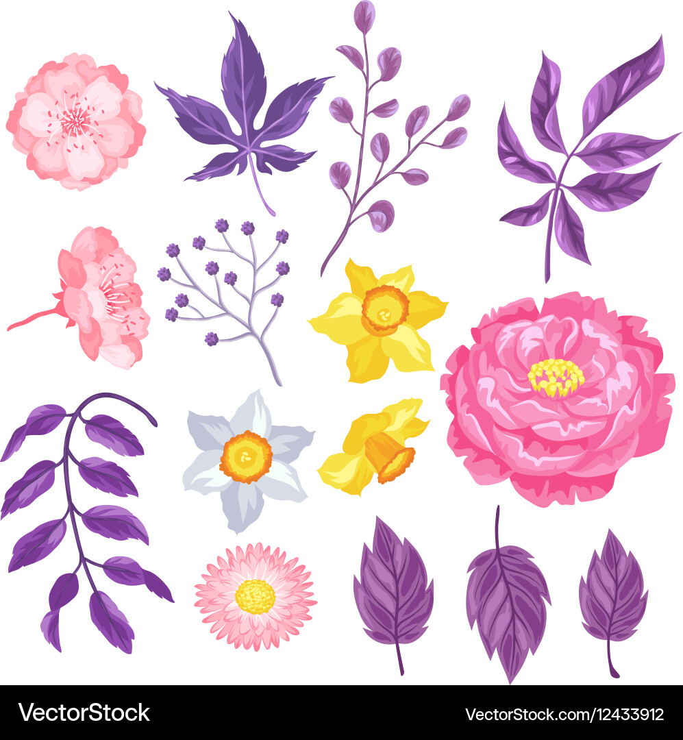 Set decorative delicate flowers objects Royalty Free Vector