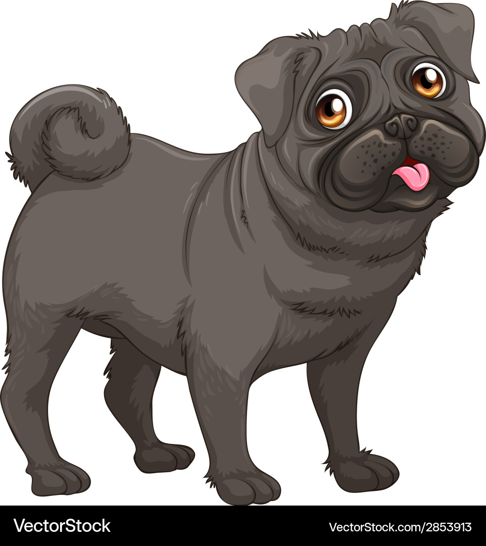 Dog Royalty Free Vector Image - VectorStock