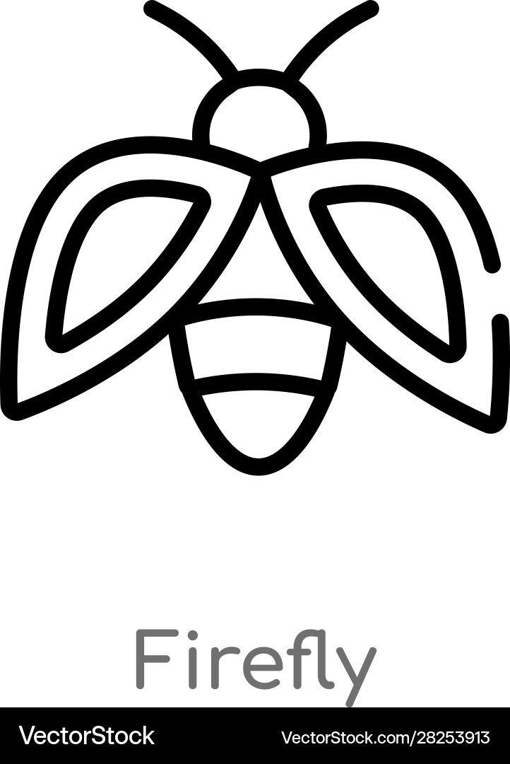 Outline firefly icon isolated black simple line Vector Image
