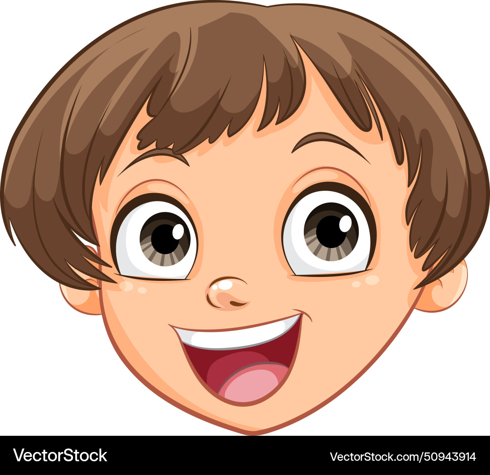 A cheerful young boys face Royalty Free Vector Image