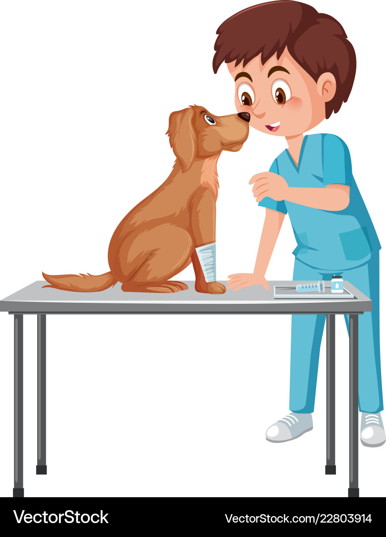 A vet helping dog Royalty Free Vector Image - VectorStock