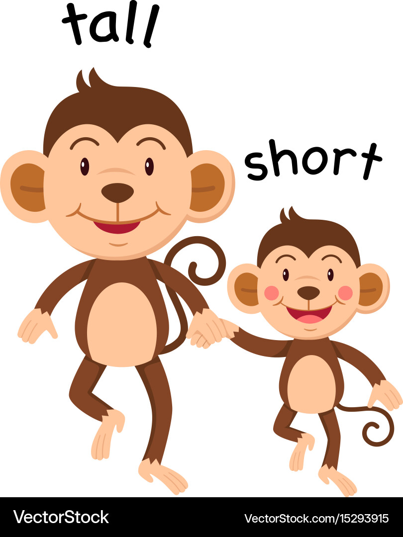 Concise Antonym English Opposite/Antonym Words List English Grammar