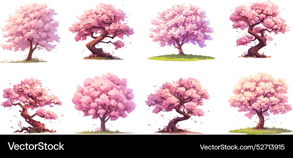Sakura Blossom Tree - Japanese Spring Royalty Free Vector
