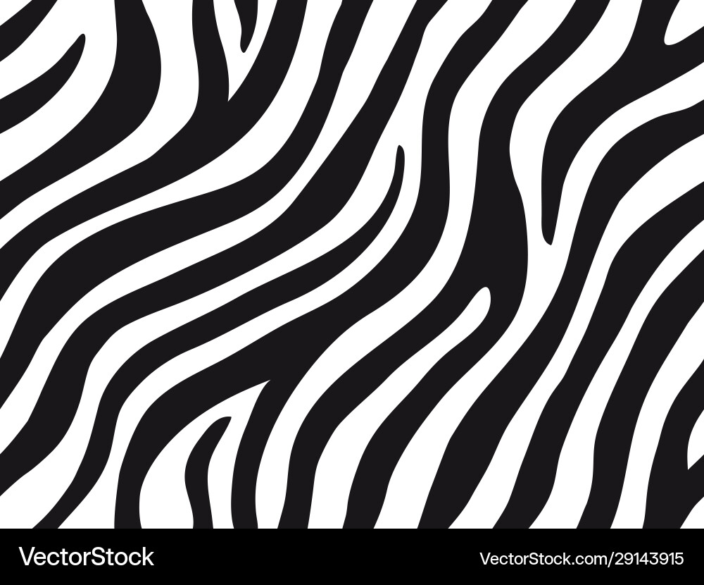 Zebra Stripes Pattern Royalty Free Vector Image