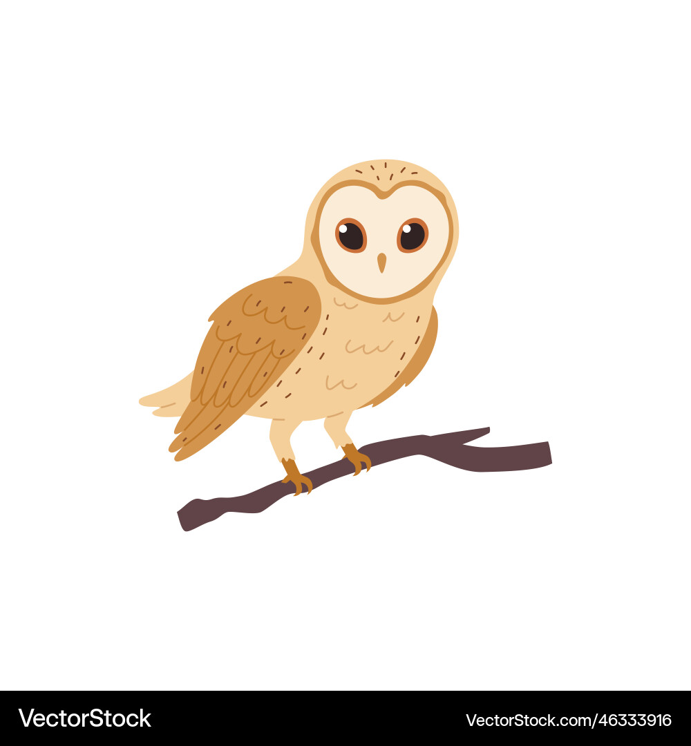 Barn-owl widely distributed species of owl flat Vector Image