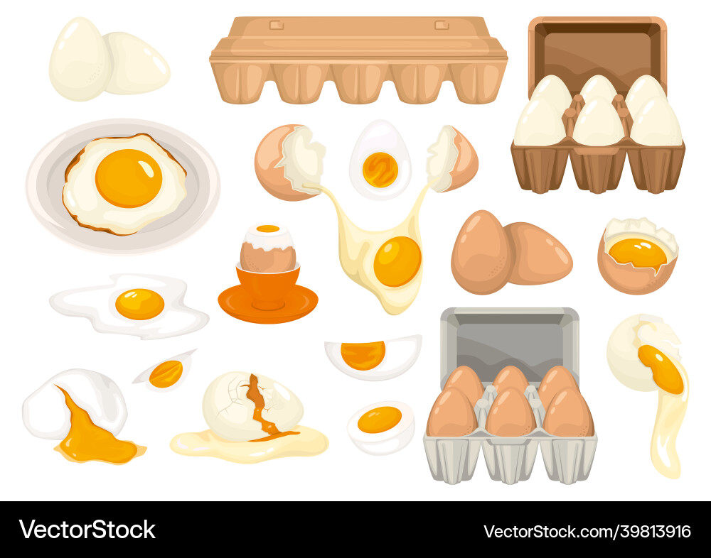 Eggs for food set Royalty Free Vector Image - VectorStock