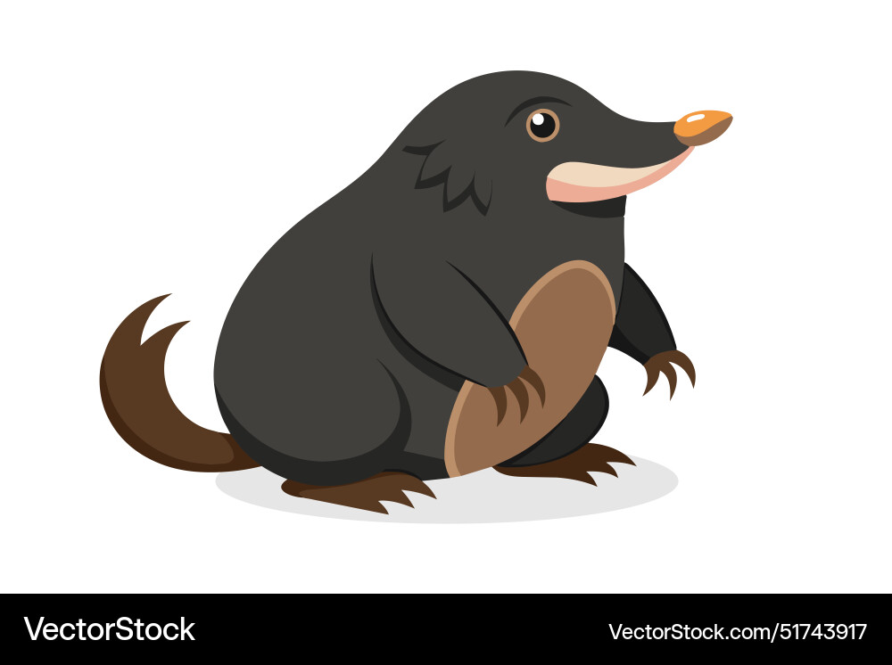 Mole animal flat on white background Royalty Free Vector