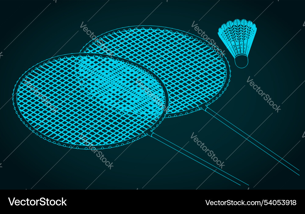 Rackets and shuttlecock close up Royalty Free Vector Image