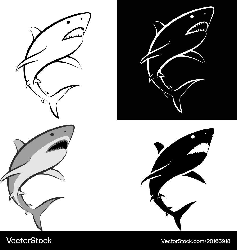 Shark Royalty Free Vector Image - VectorStock