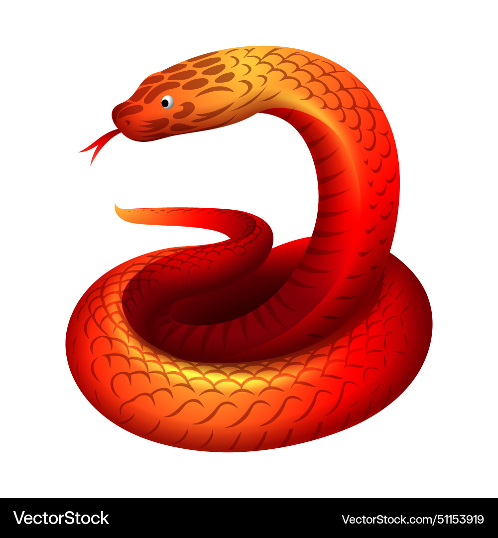 Snake chinese horoscope zodiac sign Royalty Free Vector