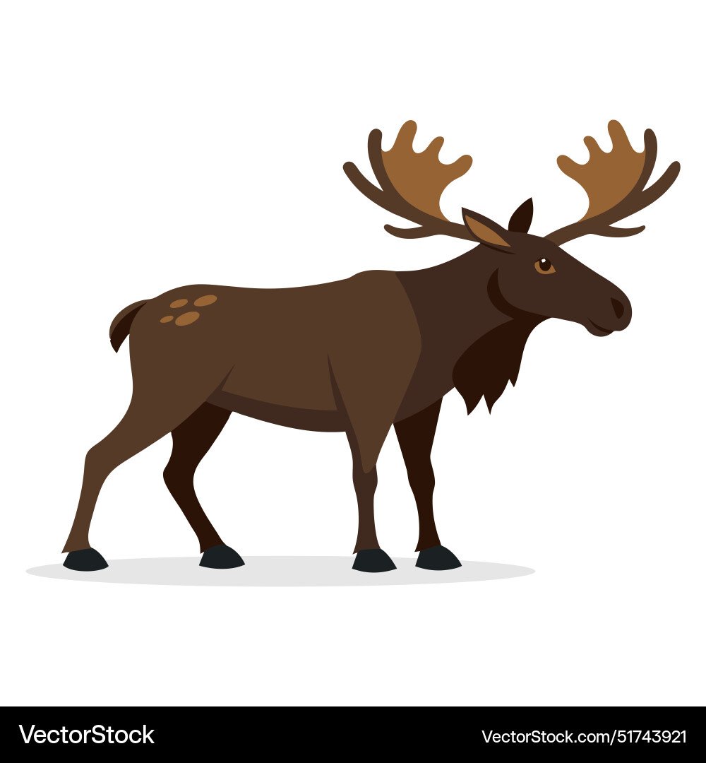 Moose animal flat on white background Royalty Free Vector