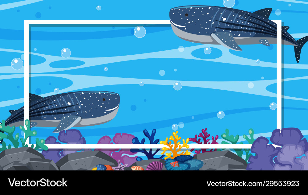 Frame design with whalesharks swimming Royalty Free Vector