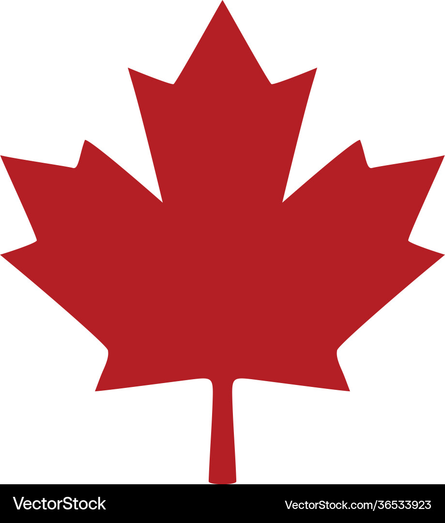 Maple leaf Royalty Free Vector Image - VectorStock