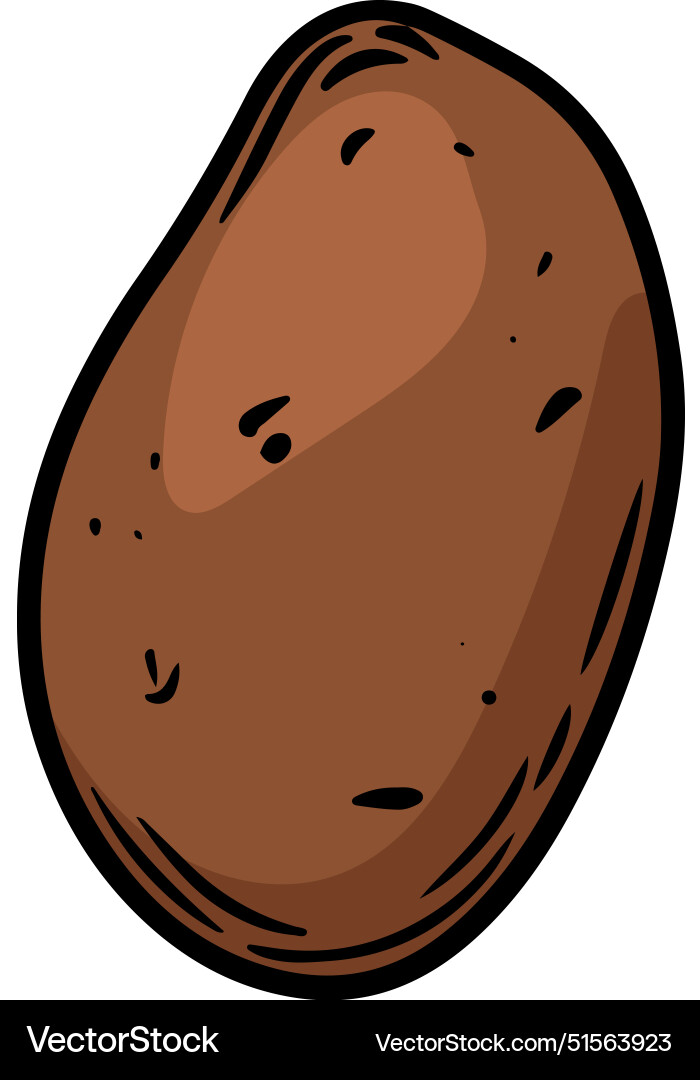 Potato line drawing Royalty Free Vector Image - VectorStock