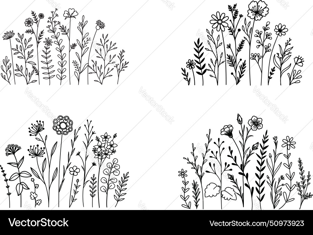 Wildflowers set 2 Royalty Free Vector Image - VectorStock