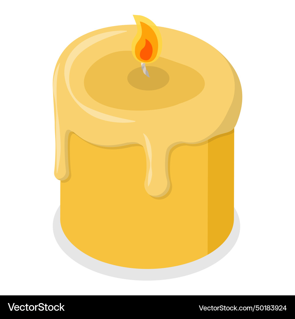 3d isometric flat set of wax candles item Vector Image
