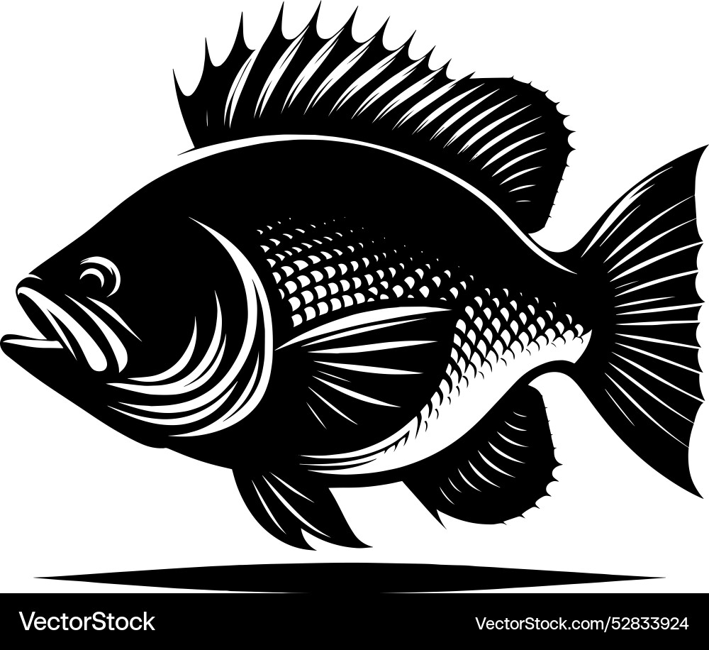 Big fish silhouette isolated on white background Vector Image