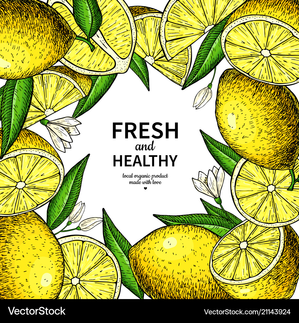 Lemon label drawing citrus fruit frame Royalty Free Vector