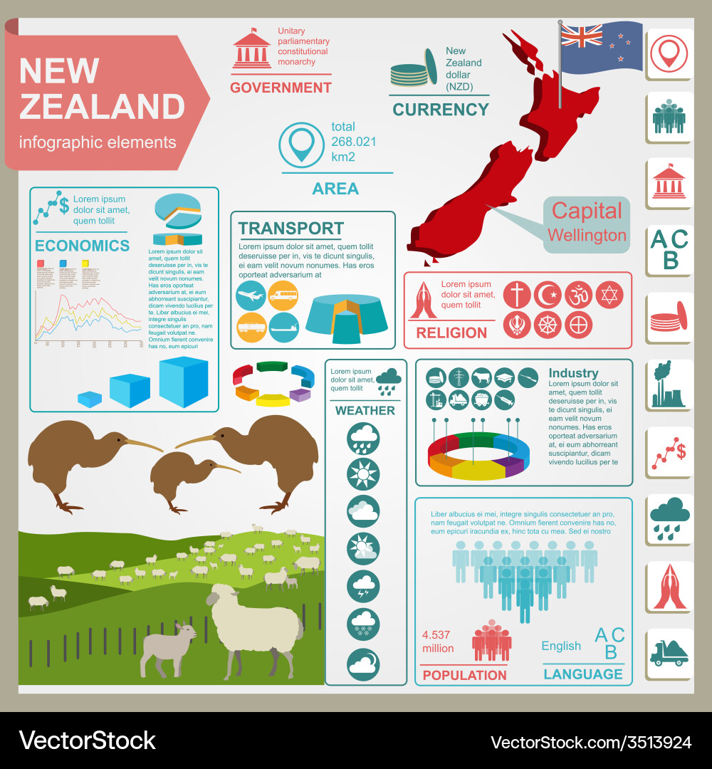 New zealand infographics statistical data sights Vector Image