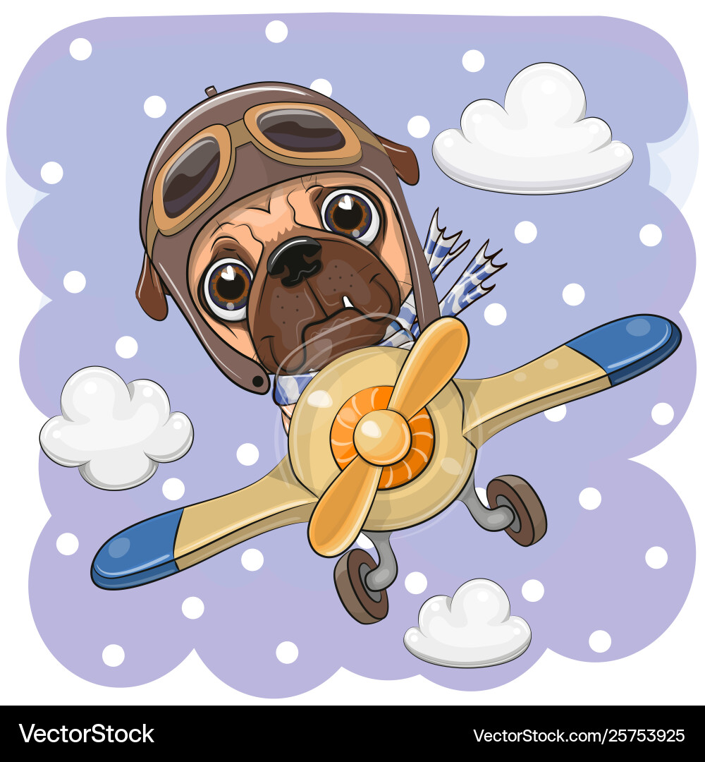 Cute pug dog is flying on a plane Royalty Free Vector Image