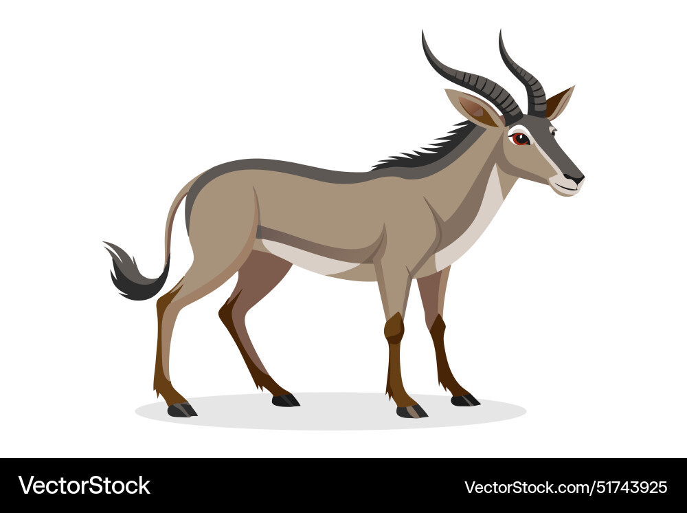 Oryx animal flat on white background Royalty Free Vector