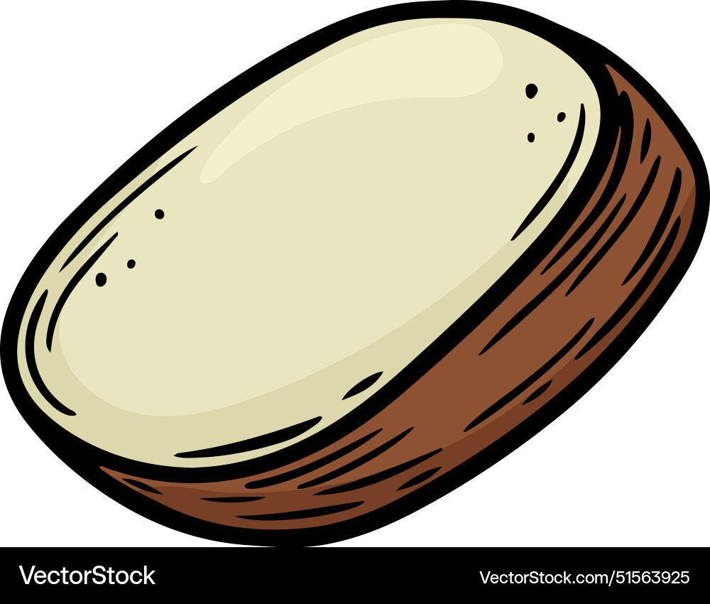 Potato slice line drawing isolated on white Vector Image