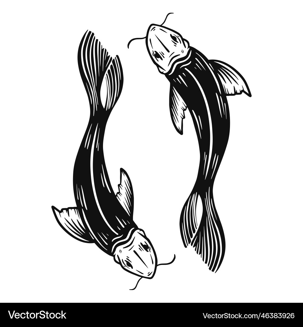 Black and white koi fish Royalty Free Vector Image