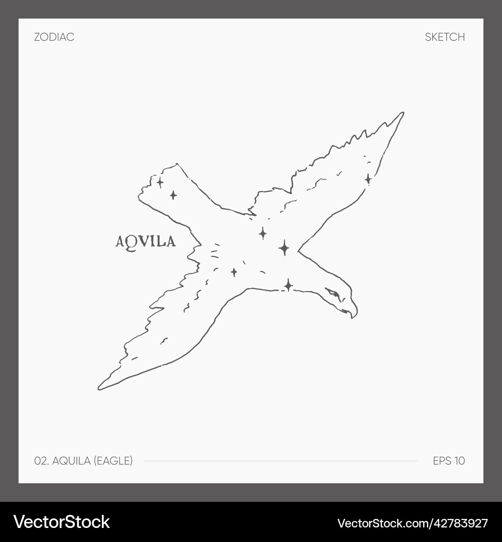 Astrological zodiac aquila eagle Royalty Free Vector Image